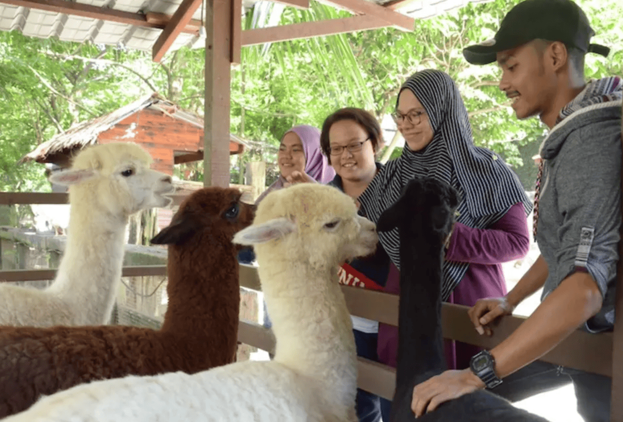 【馬來西亞必玩】親子遊10大推介！樂高樂園＋KL塔水族館＋雪世界 - Kinnso